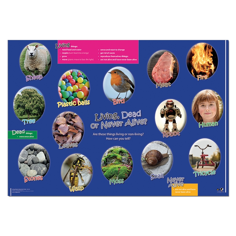 WGSC1121 - Living Dead or never Alive Poster | Findel Dryad UAE