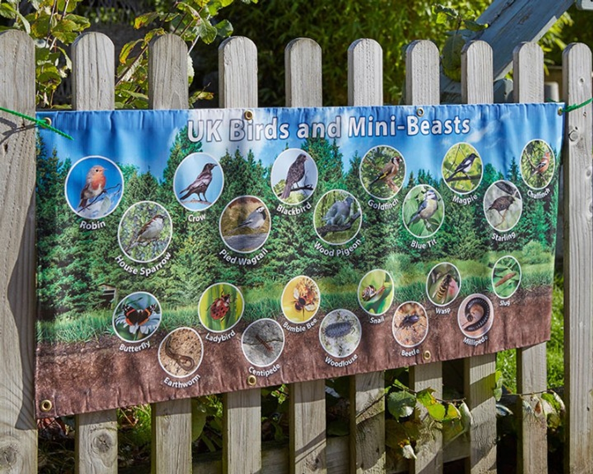 BIG BUGS N BIRDS BANNER | CSY33675 | Findel Dryad