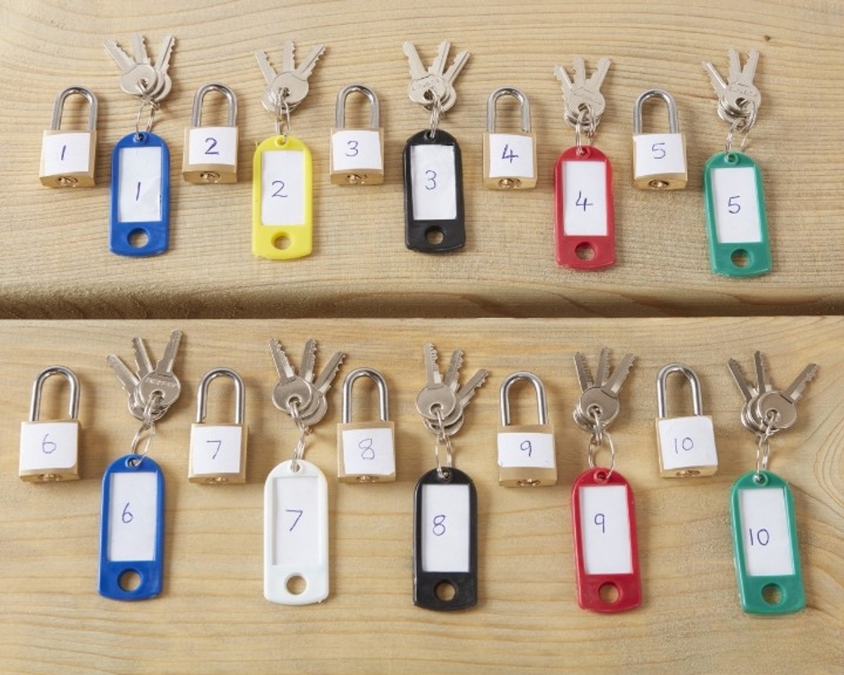 LOCKS AND KEYS (20PK) | CSY47157 | Findel Dryad
