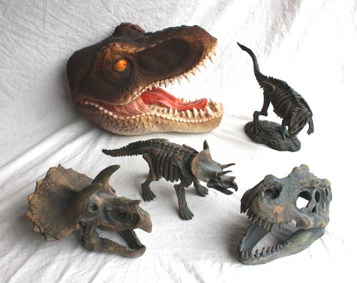 Fossils and Dinosaurs STAR BOX | STRSB106 | Findel Dryad