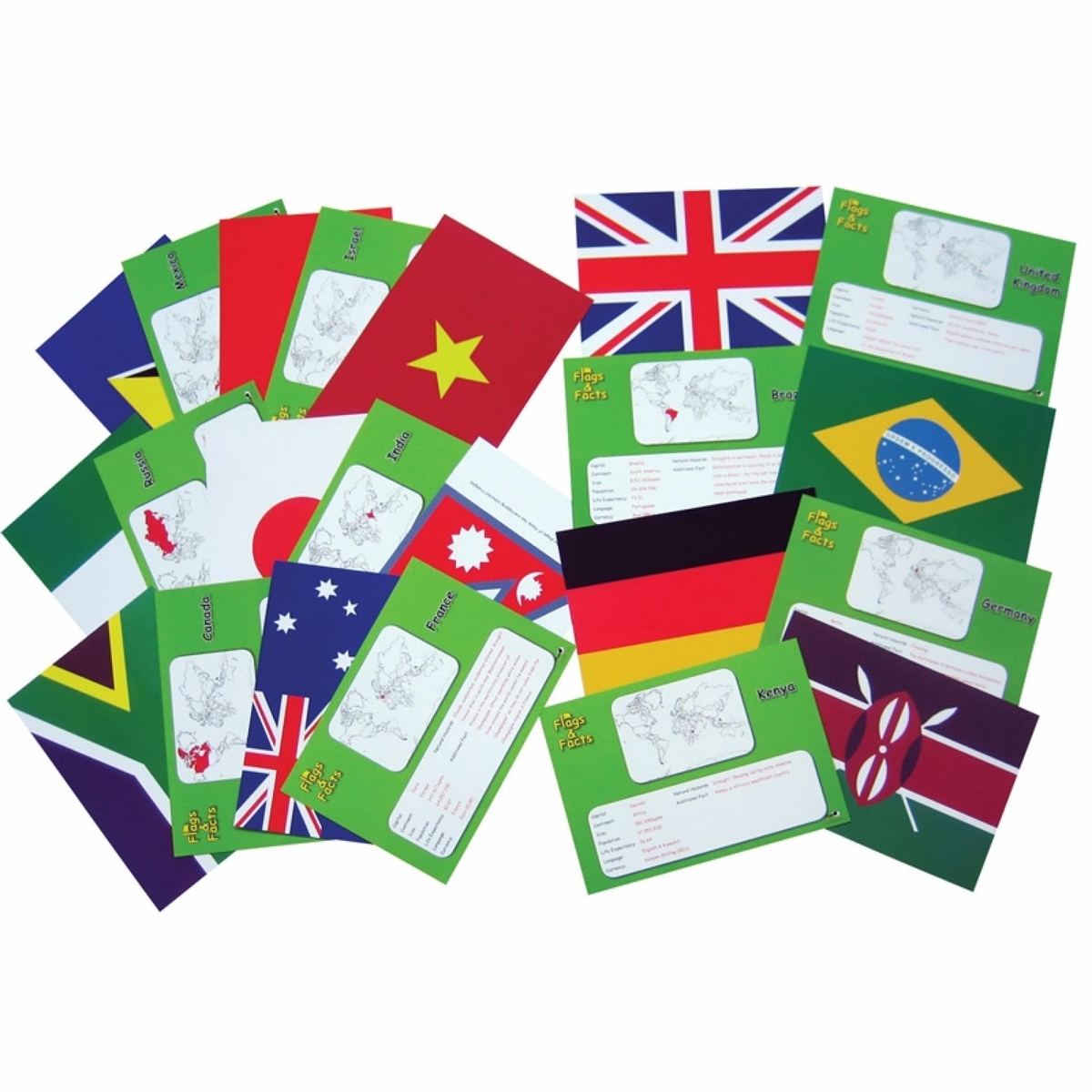 wildgoose Flags and Facts Cards | G1000082 | GLS