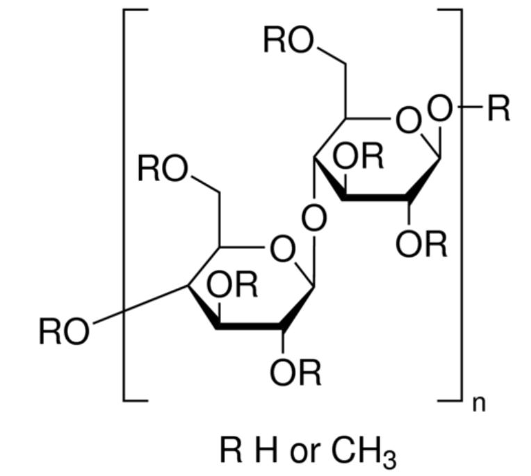 B8A69346 - Methyl Cellulose (Low Substitution) - 50g | Hope Education