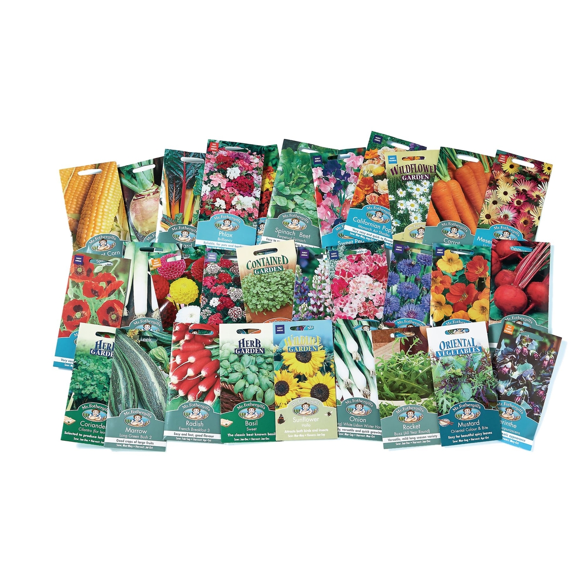 Seed Pack - Pack of 30 | HE1308757 | Findel Education