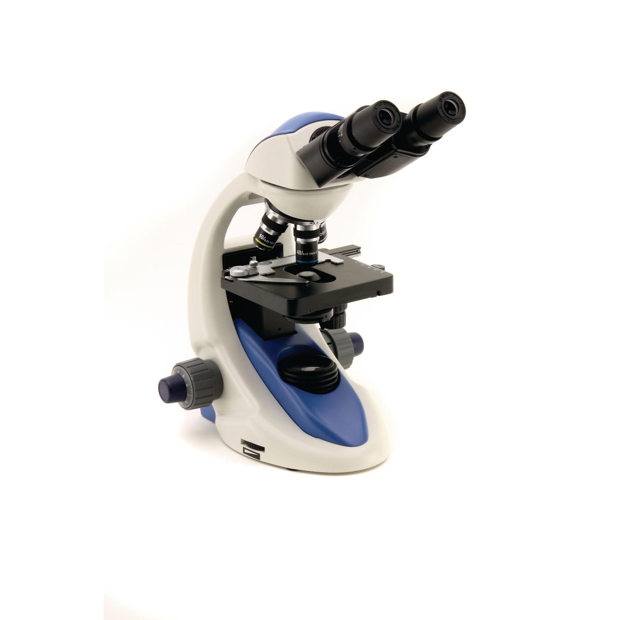 Identify Stages Of Mitosis Under A Microscope | Philip Harris