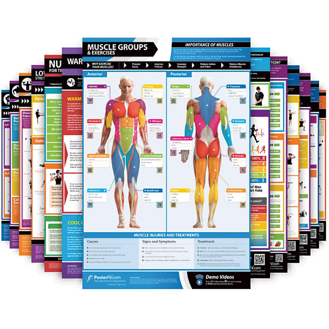 Exercise and Conditioning Posters - Full Set | HC1348900 | Findel ...