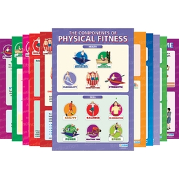 PHFP06213 Components Of Physical Fitness Posters Pack Of 12