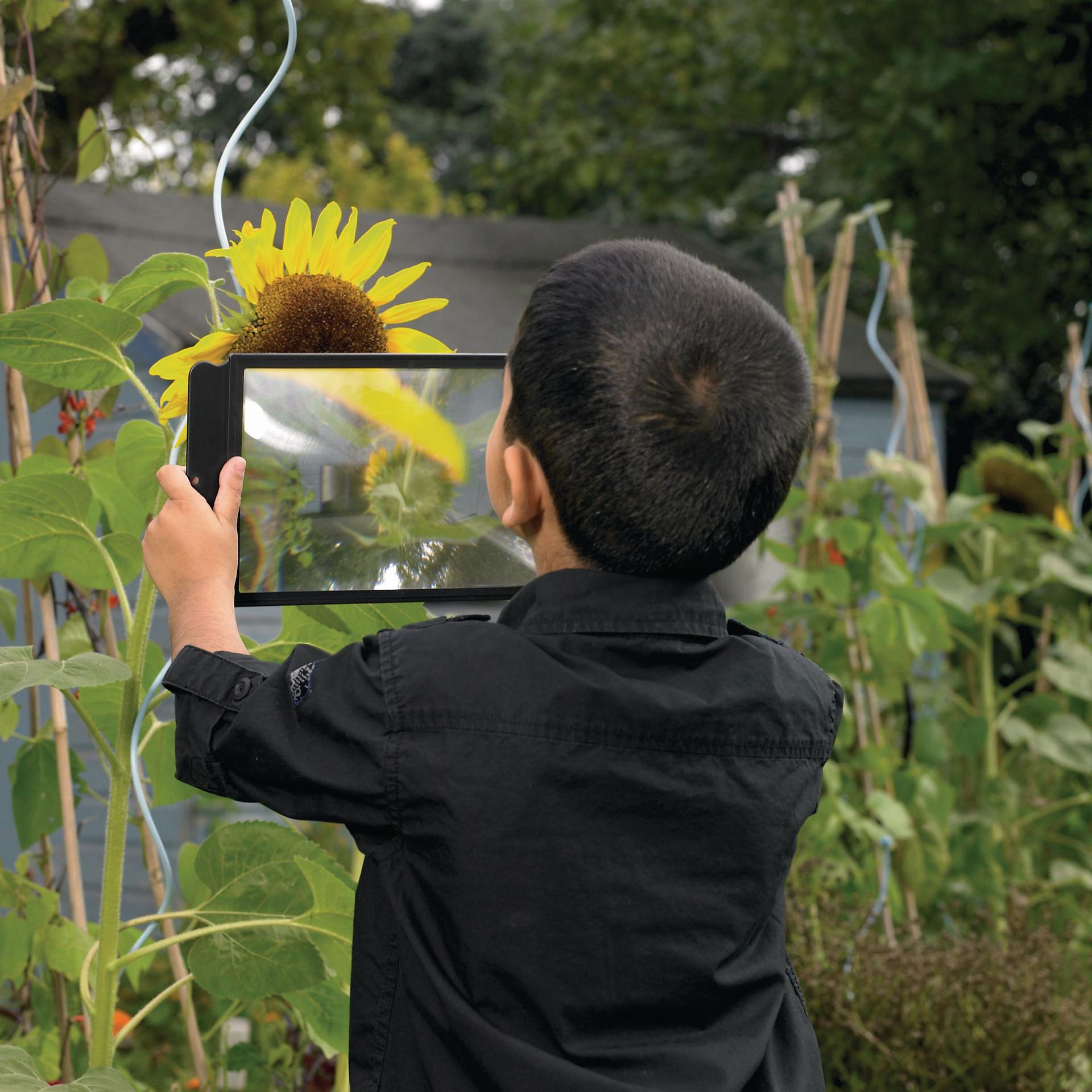 Forest School Equipment & Outdoor Forest School Supplies | Hope
