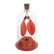 HE1494815 Lung Demo Model In A Bell Jar Findel Education