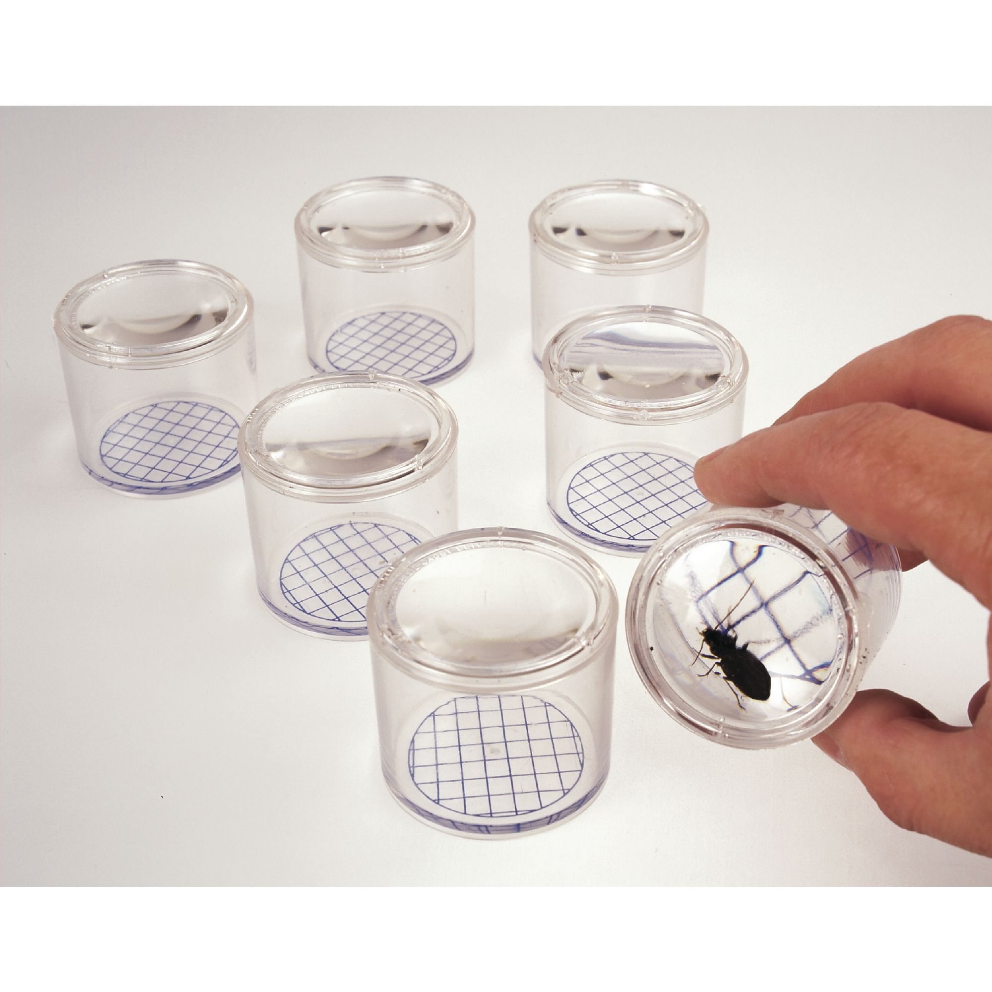 B8R06074 - Bug Pots - Pack of 10 | Hope Education