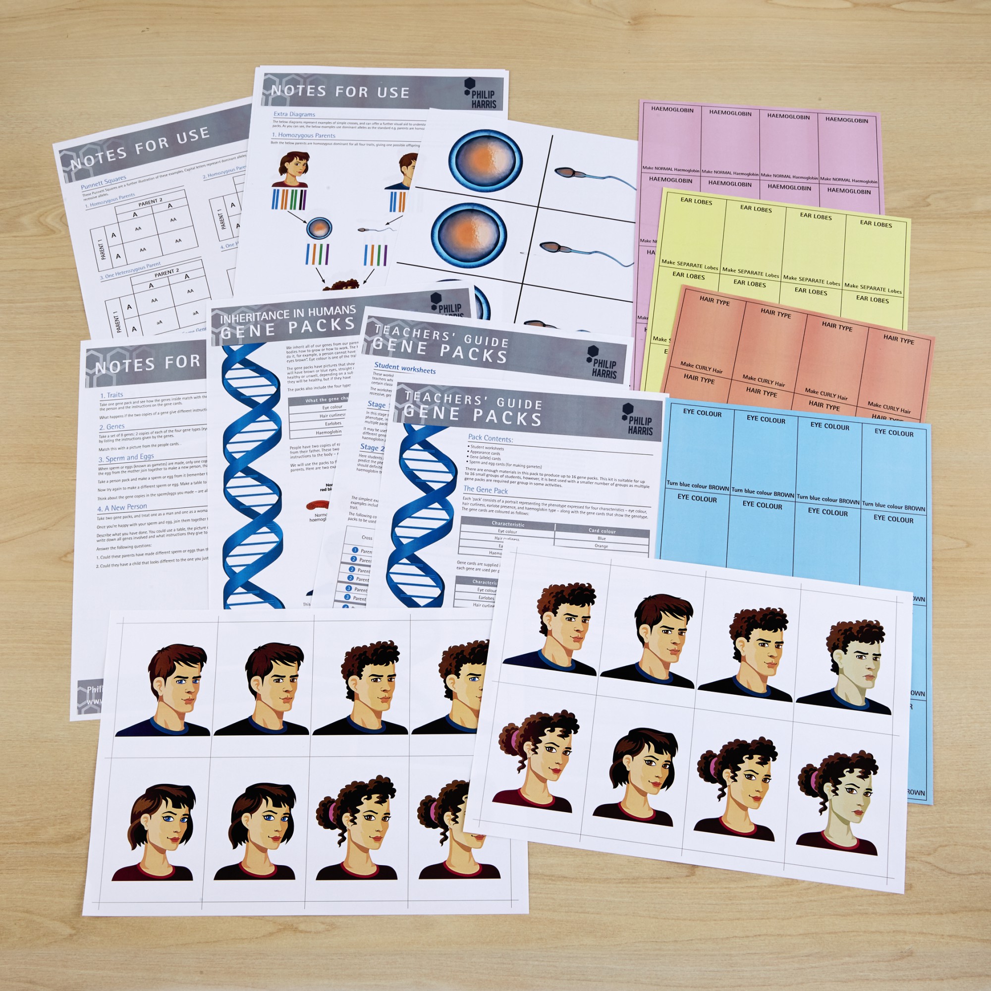 E8R06974 - Gene Packs | Findel International