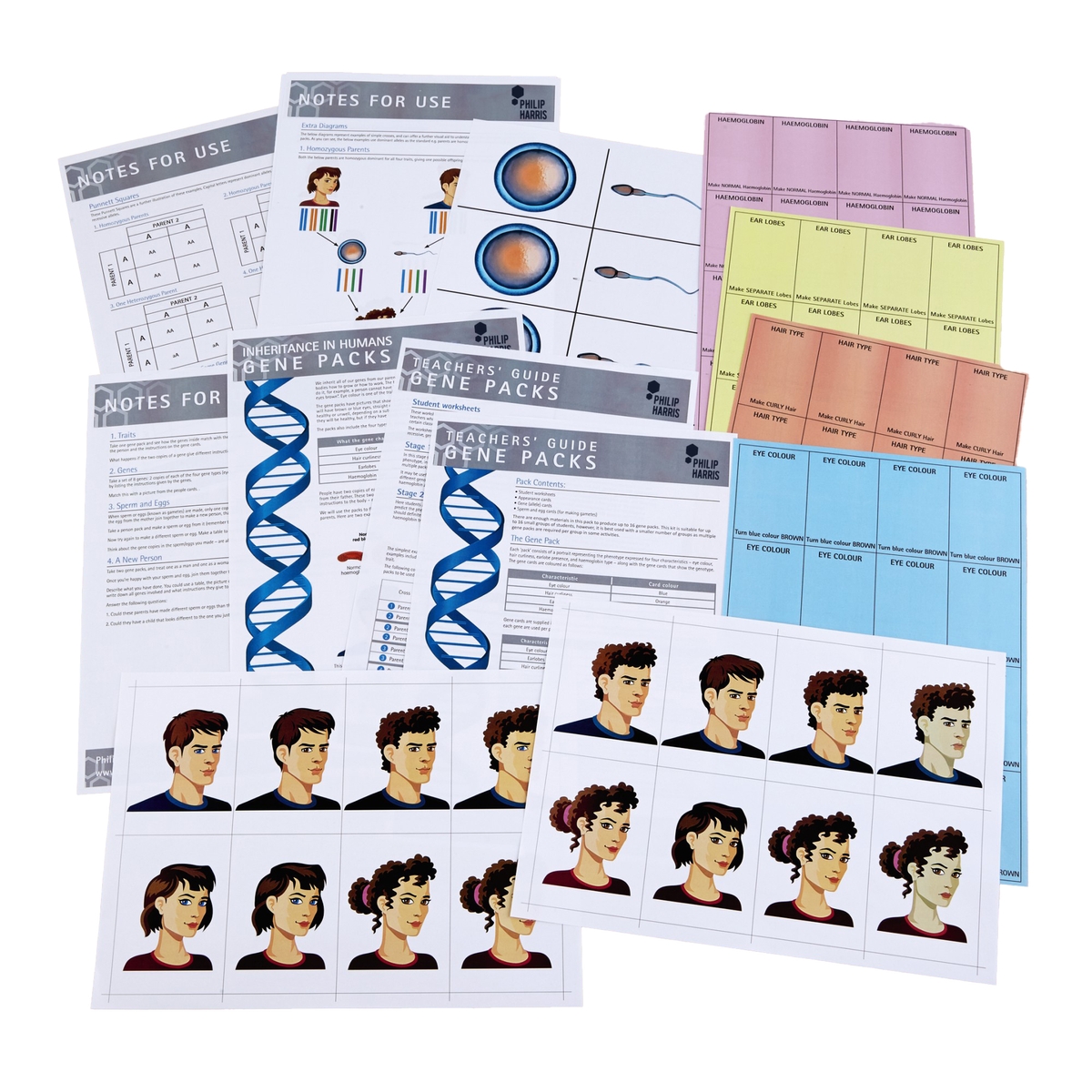 Philip Harris Genetics Teaching Classpack | HE1612592 | Hope