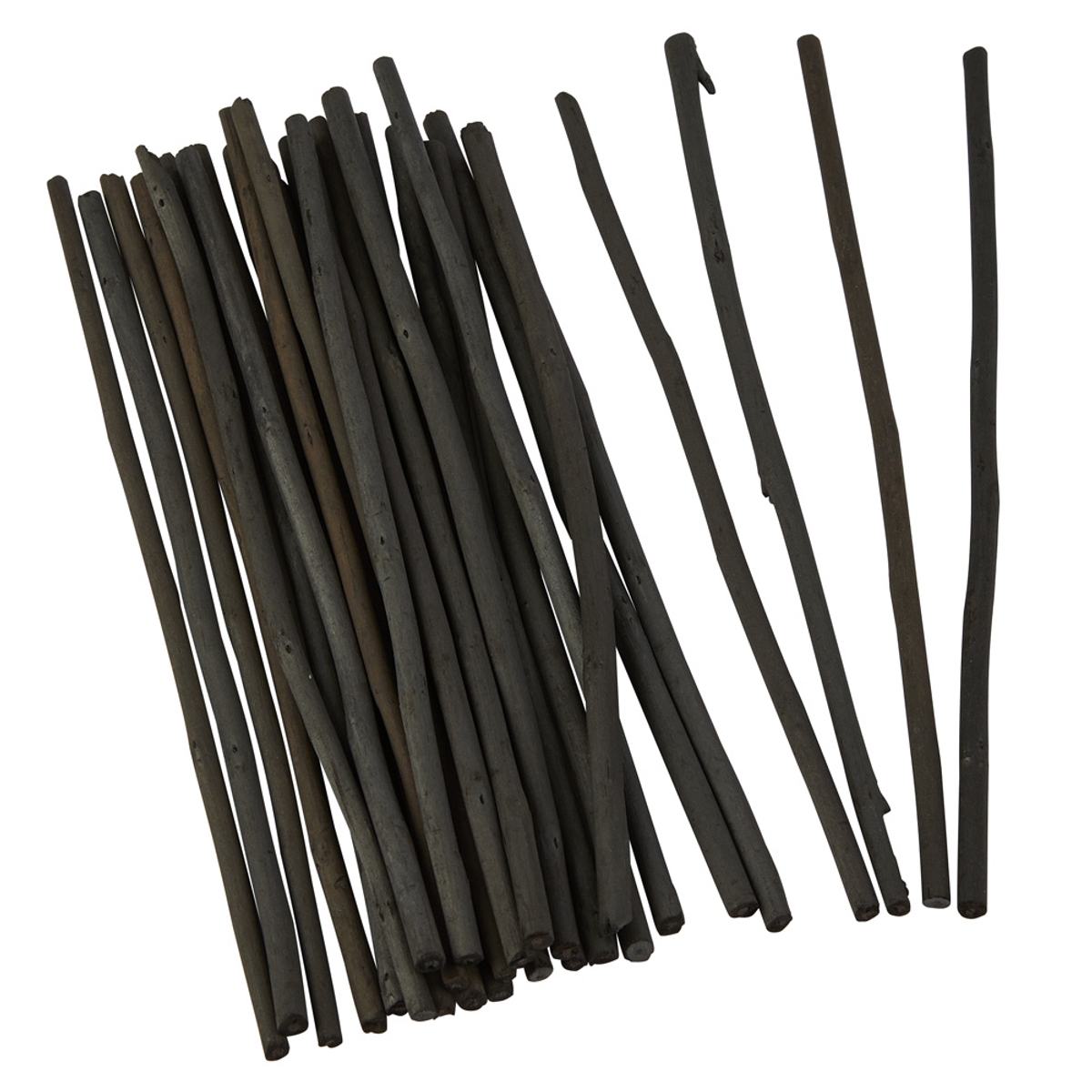 Specialist Crafts Medium Charcoal Sticks | G1828866 | GLS