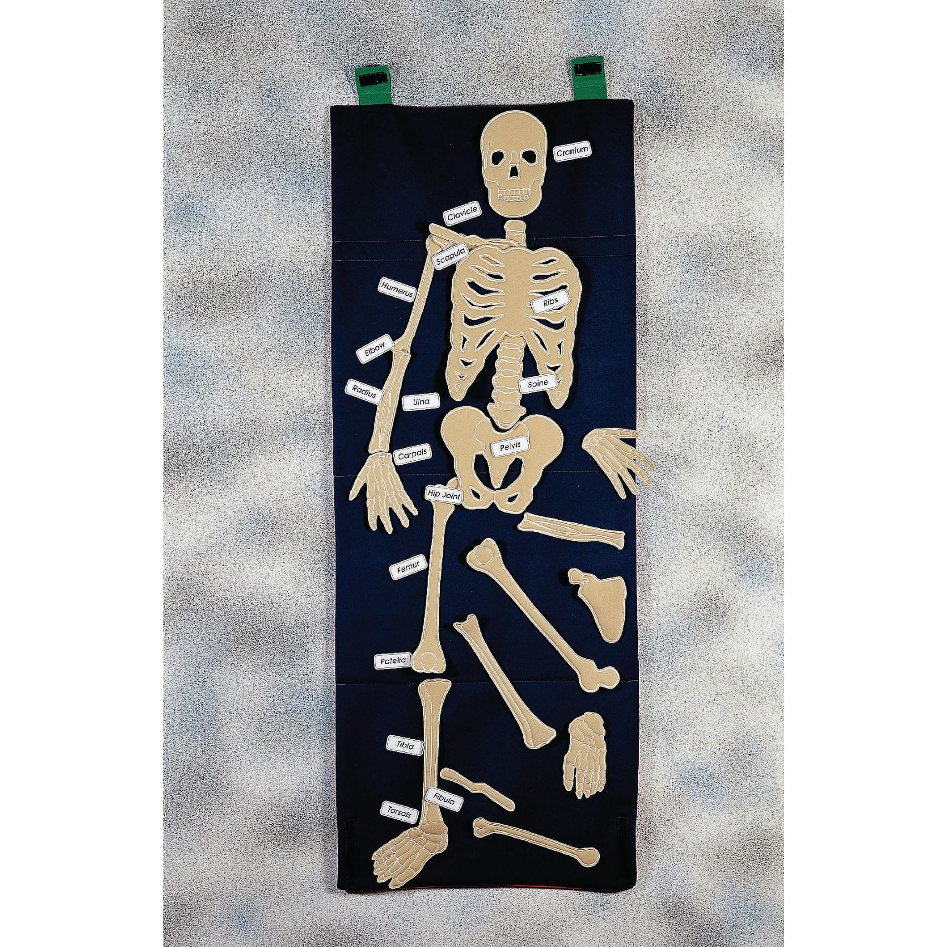 Twoey Bag Of Bones Hc190430 Findel Dryad