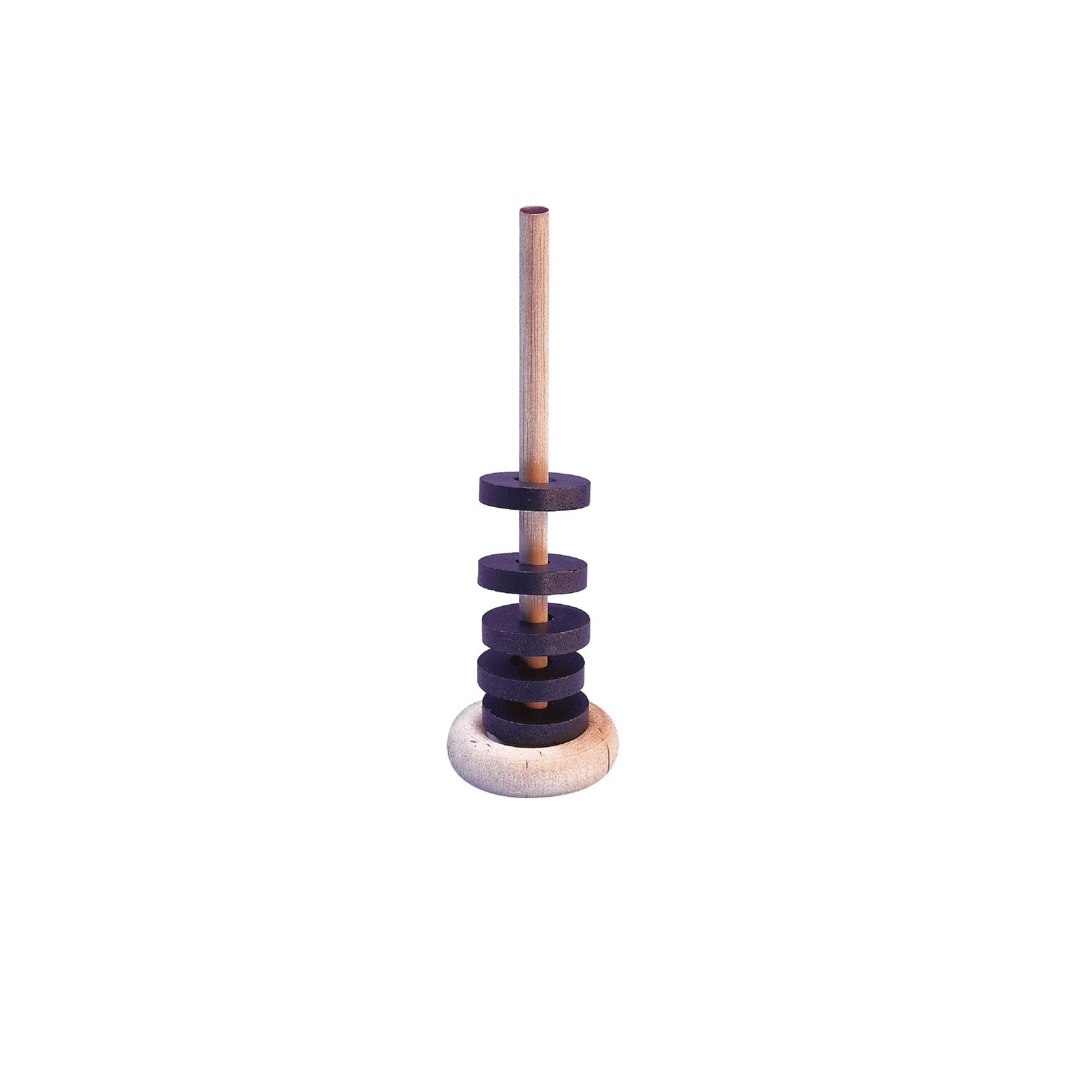 Floating Ring Magnets | B8R06036 | Philip Harris