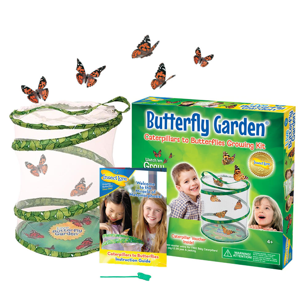 A191418 - Butterfly Garden: Grow Your Own Butterflies kit | AtoZ Supplies