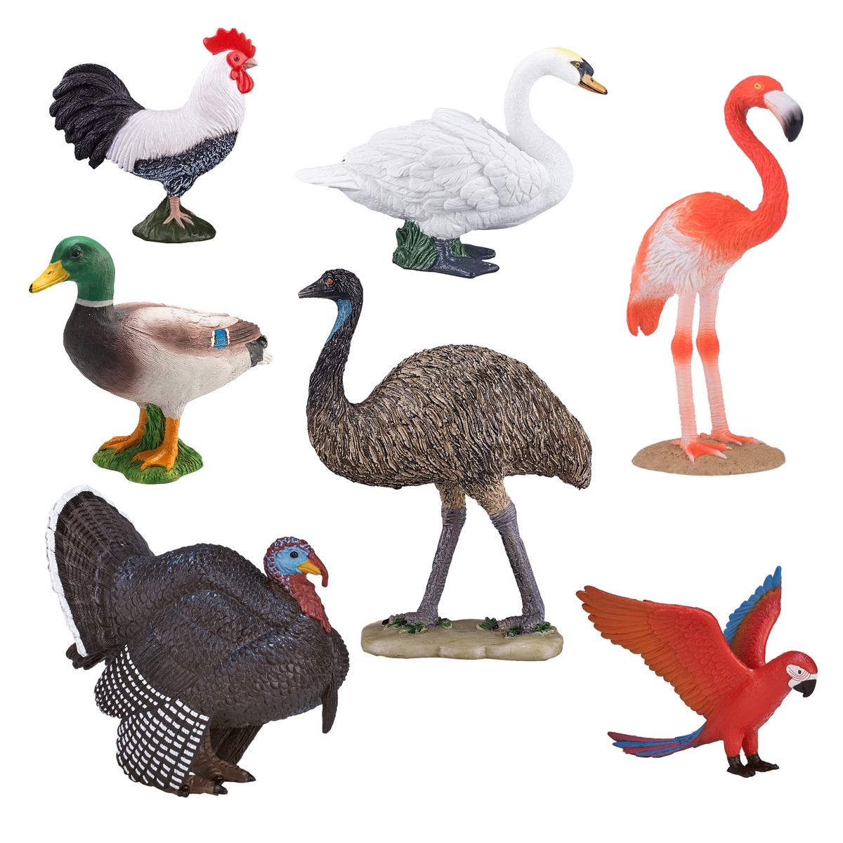 Birds Set from Hope Education - Pack of 7 | CP00050625 | Findel ...