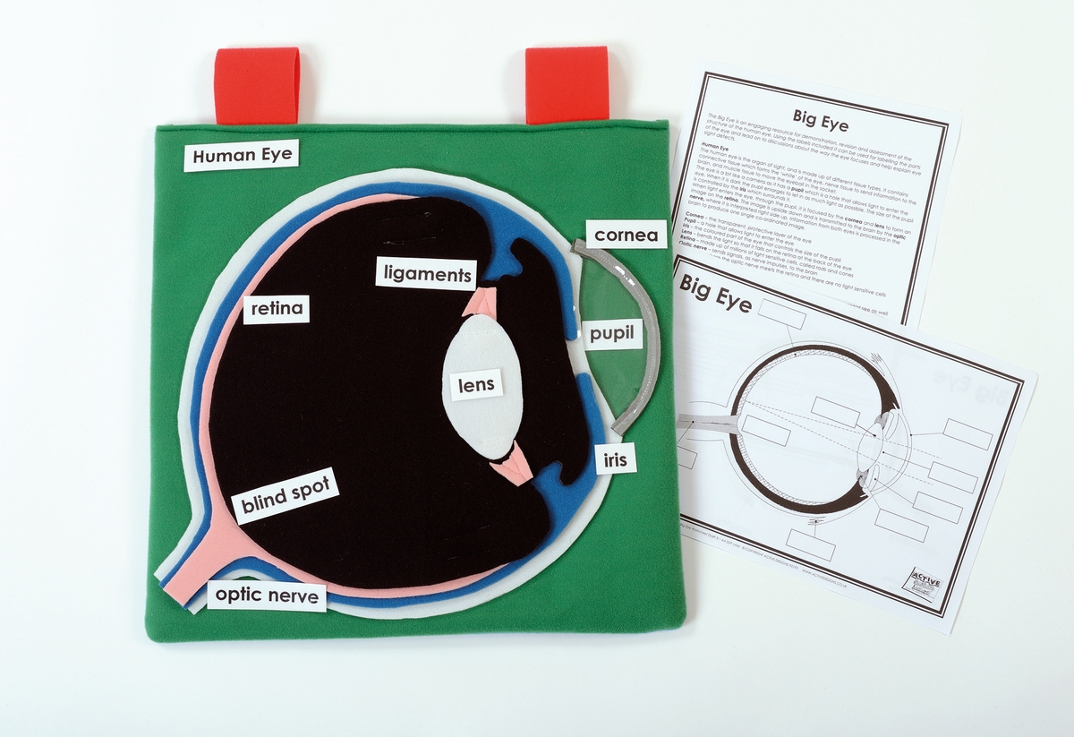 TWOEY Big Eye - Interactive Display | GP00050730 | GLS