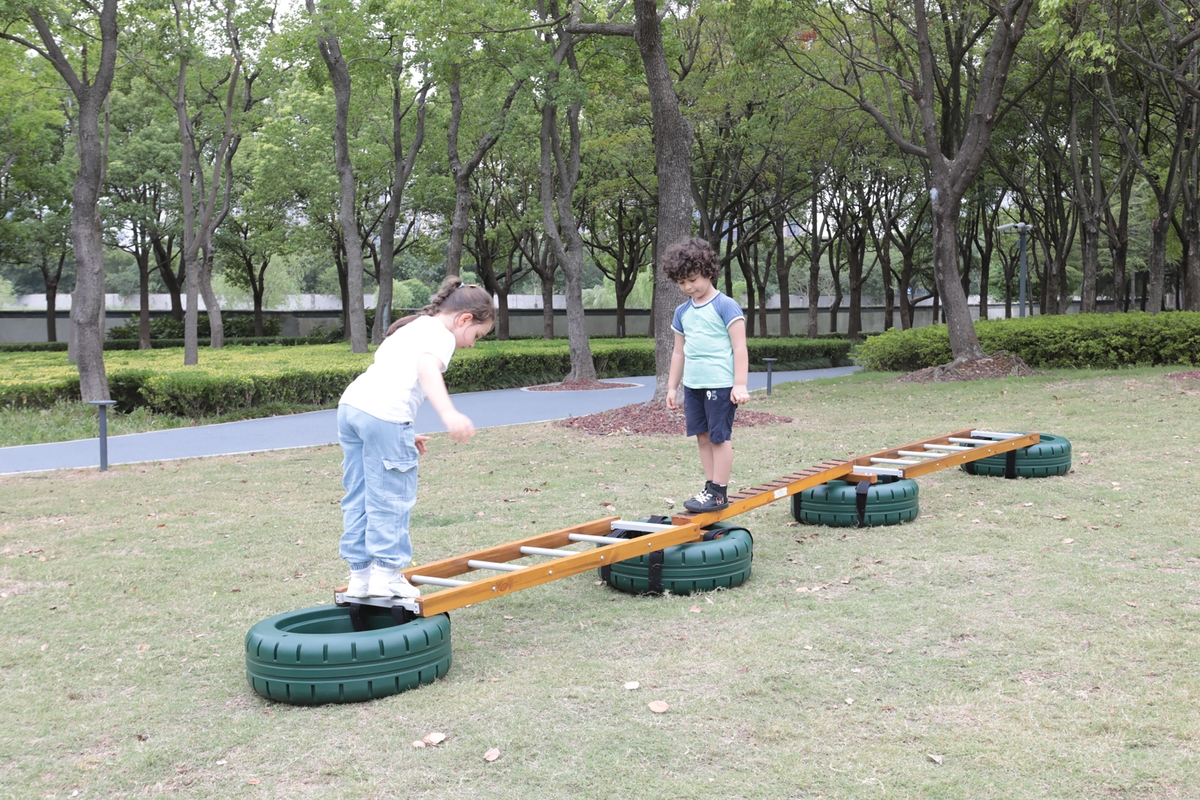 Wisdom Tyre Challenge Ladder Set | CP00053419 | Findel International