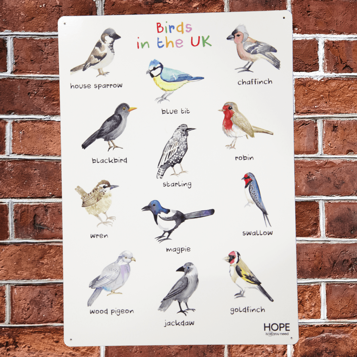 UK Birds Outdoor Sign from Hope Education | GP00053944 | GLS
