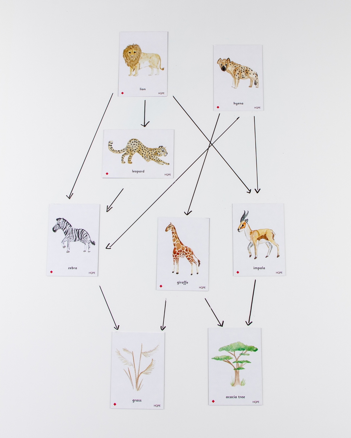 Food Chain African Savannah Magnetic Tiles from Hope Education ...