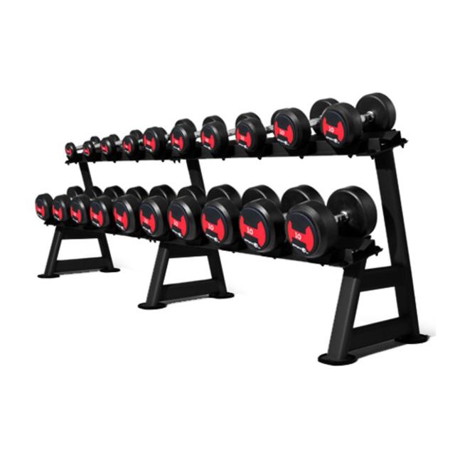 Gym Gear 12 Pair / 2 Tier Dumbbell Storage Rack | DP00055085 | Davies ...