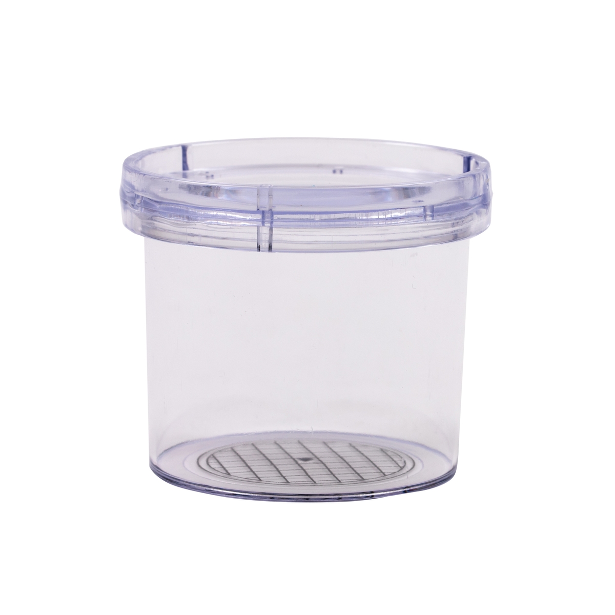 Bug Pots - Pack of 12 | HP00056535 | Hope