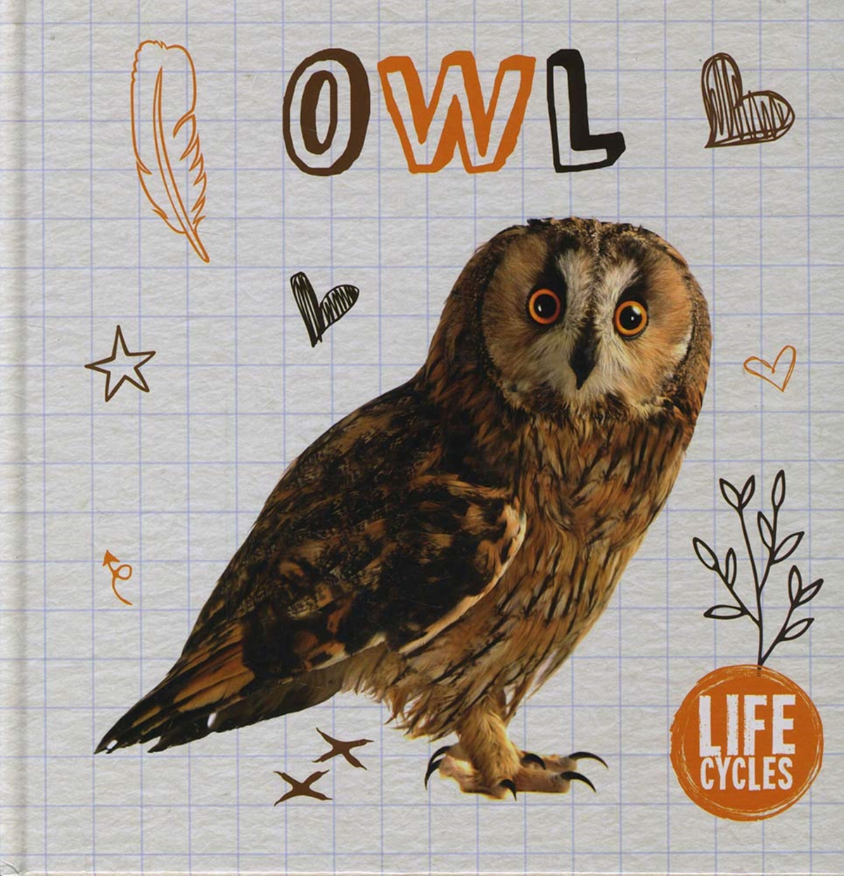 Owl - Life Cycles | CP00056889 | Findel Dryad
