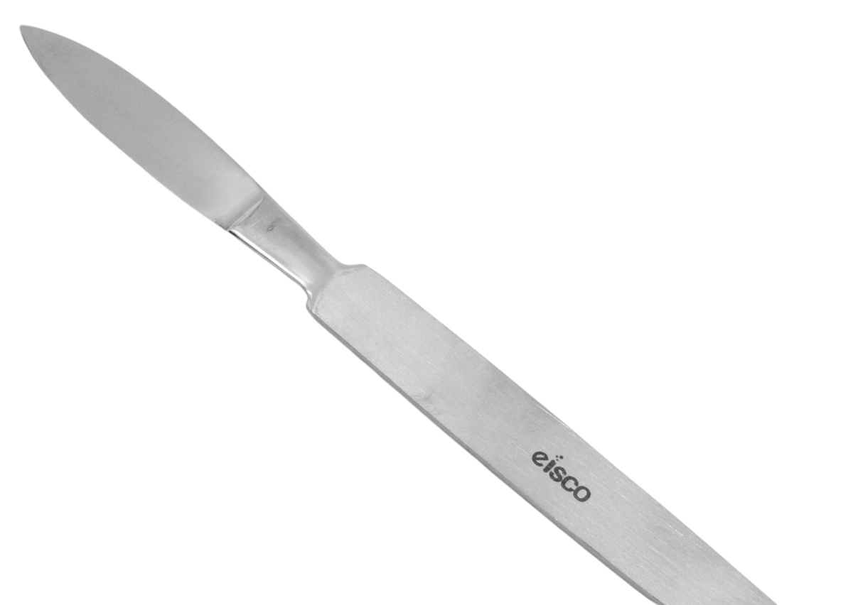 Fixed Blade Scalpel - 45mm - Pack of 10 | CP00058130 | Findel International