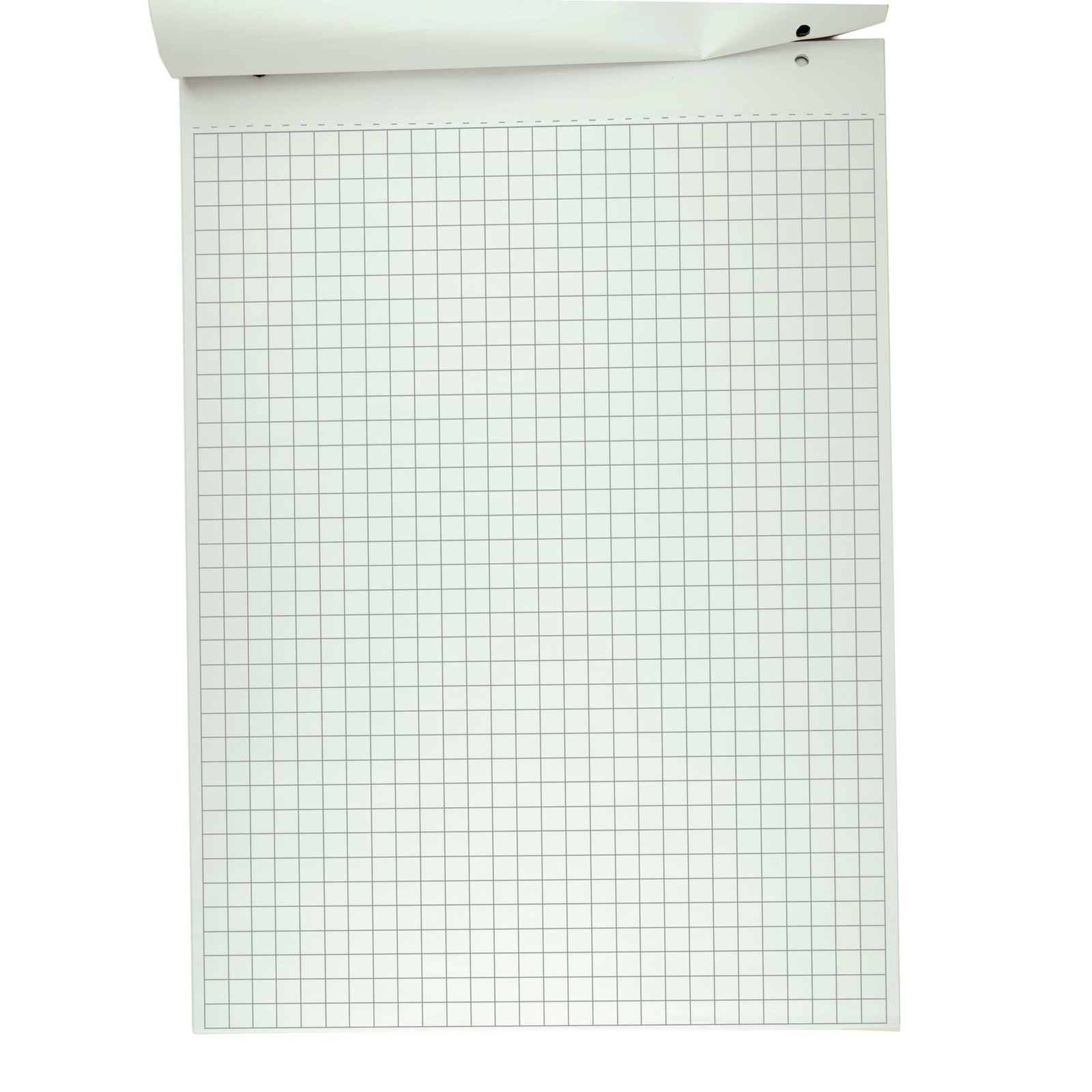 A1 Rhino Feint Grid Flip Chart Pad - Pack of 10 | GLS Educational Supplies