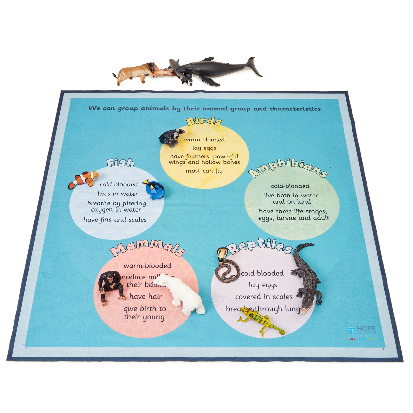 Habitats Classification Mat