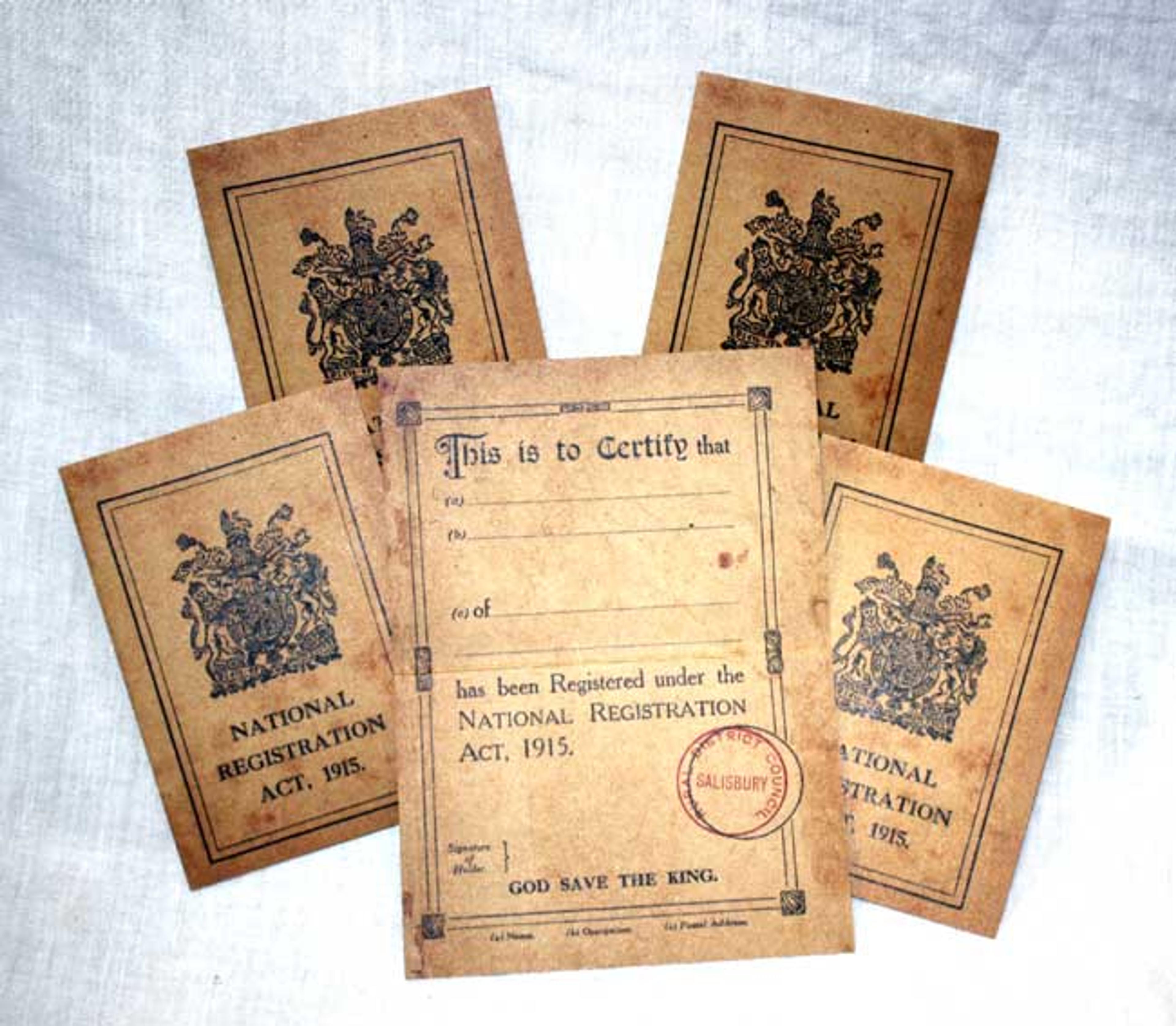 5 x Registration Cards | STRBH377 | Findel Dryad