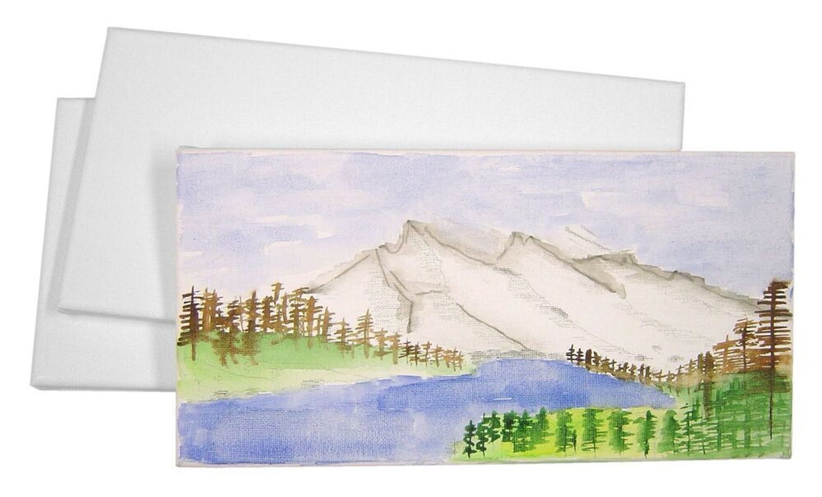 Rectangular Canvas 15cm x 30cm - Pack of 10 | DRYCAN0612 | Findel Dryad