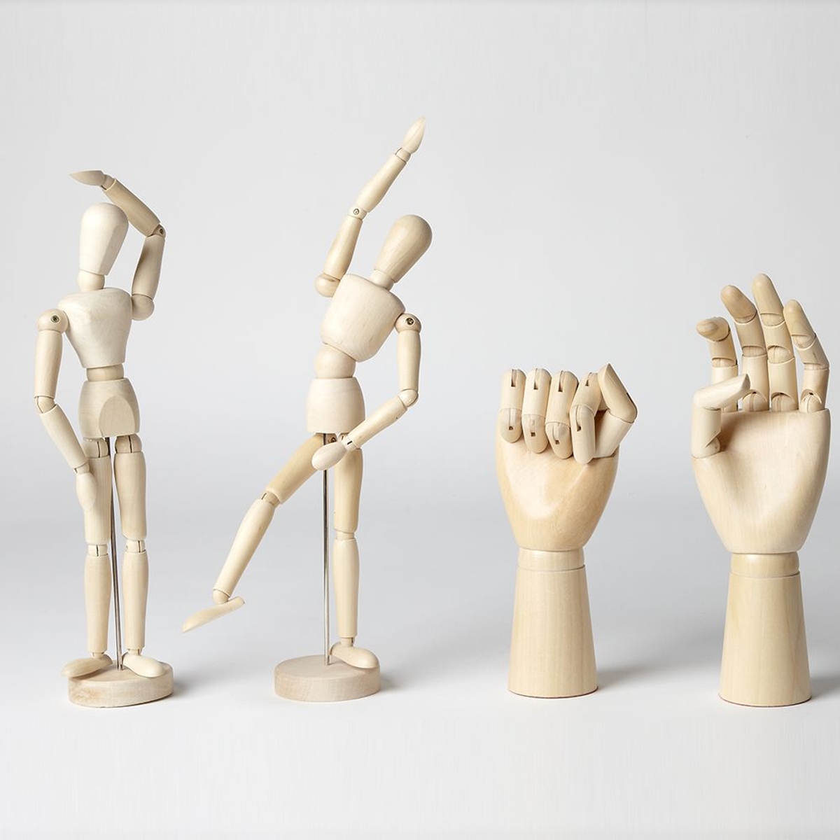 Anatomical Figures Assortment. Pack of 4 | DM130S | Findel Dryad