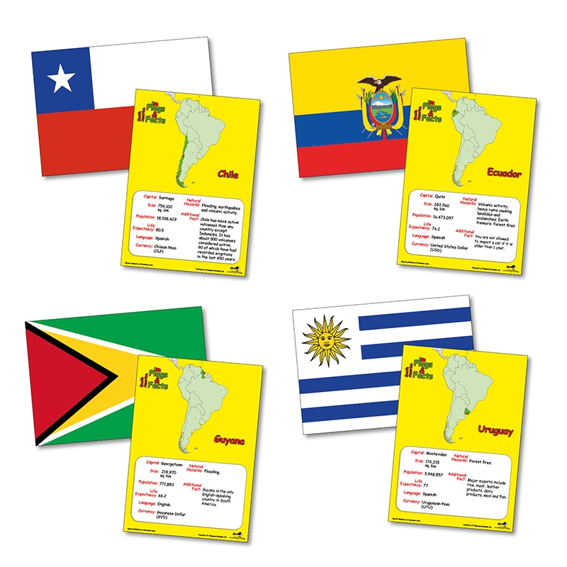WG1628 - Flags and Facts - South America | Findel Dryad UAE