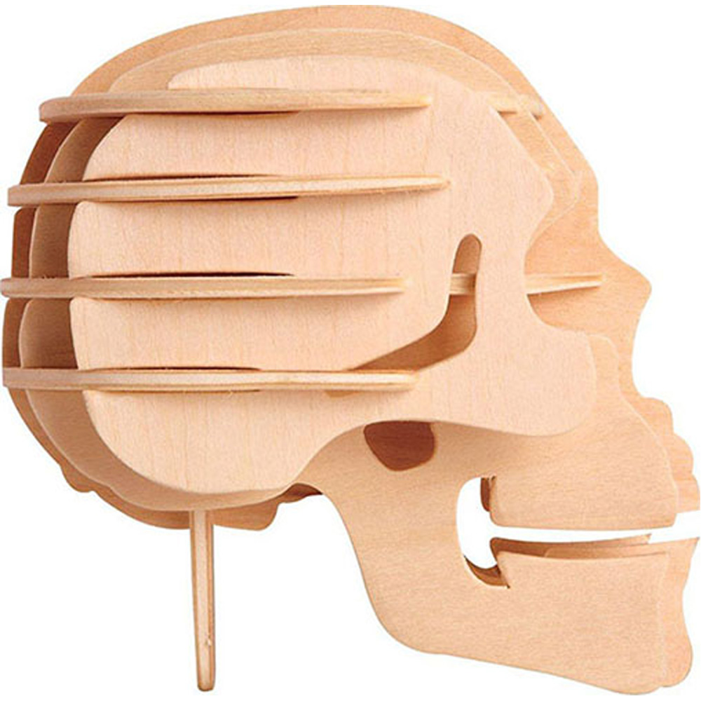 M550A004 - Woodcraft Construction Kit - Human Skull | Findel Dryad UAE