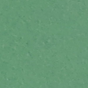 M105A005 - Zote Foam - 500 x 530 x 6mm - Green | Findel Dryad UAE