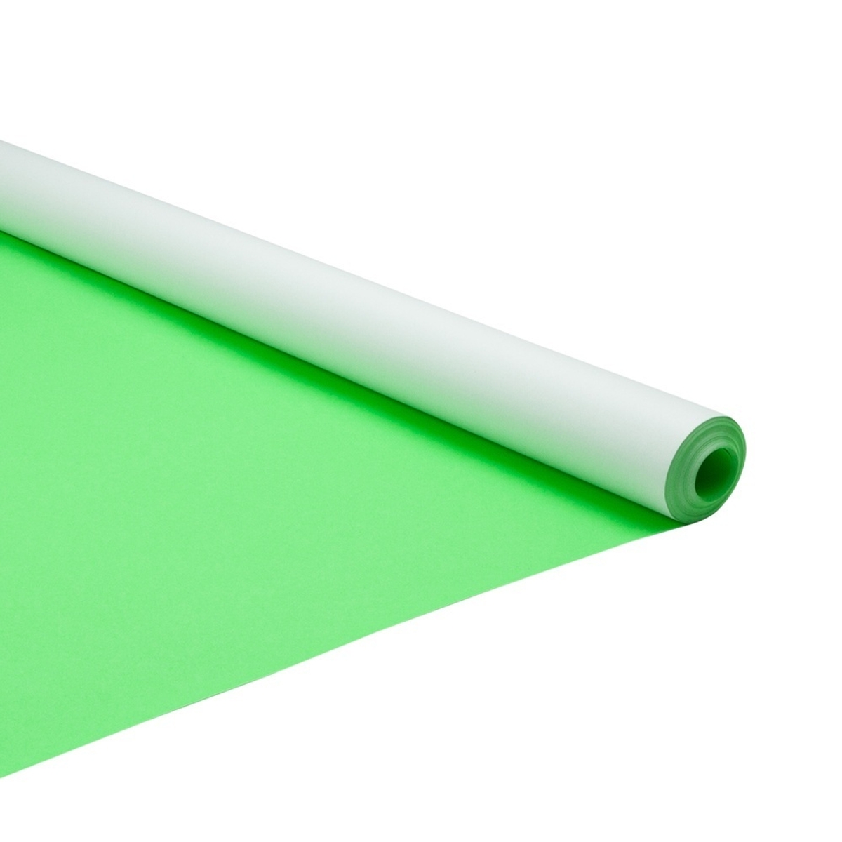 Poster Paper Rolls 760mm x 10m - Pale Green | DRYPPRPG | Findel Dryad