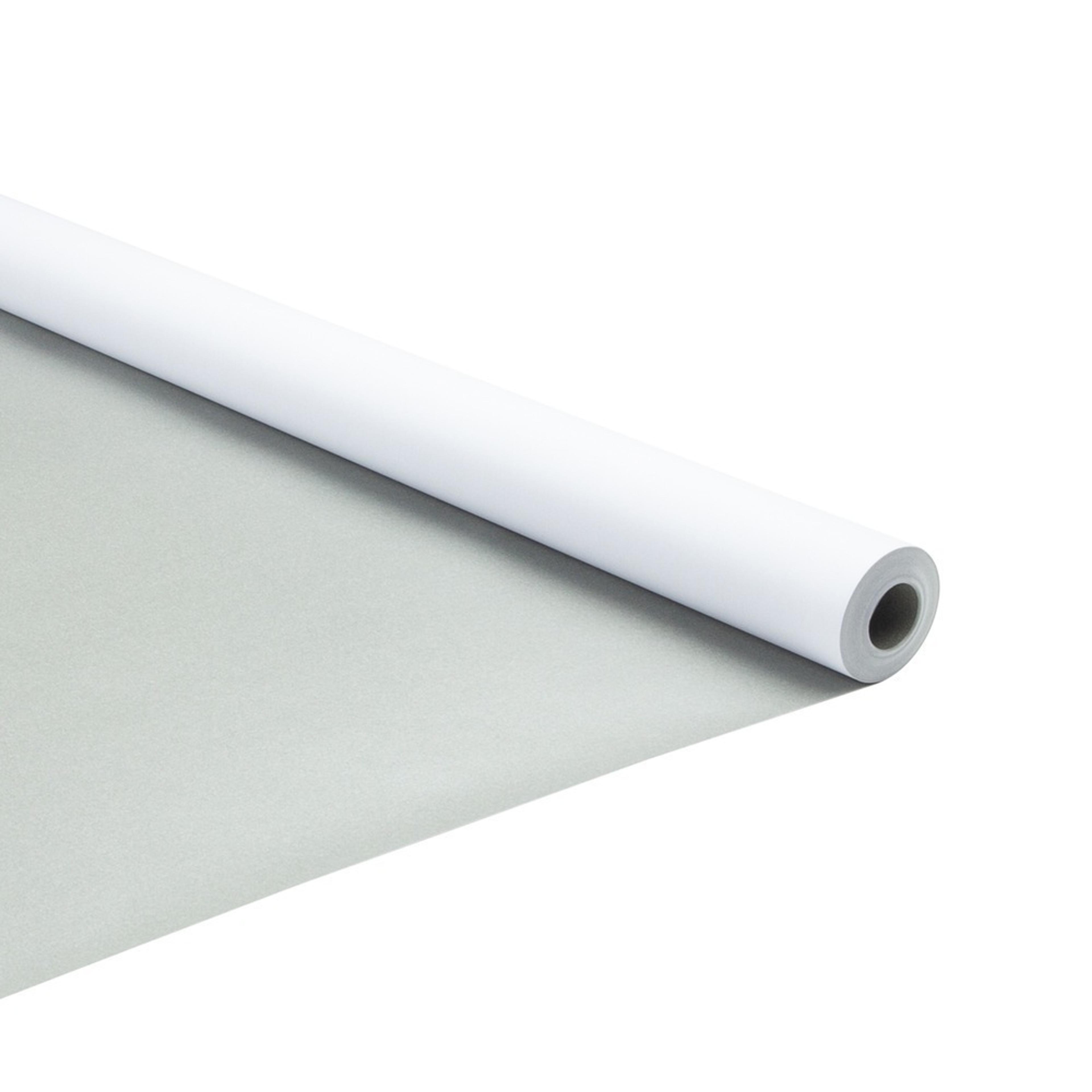 Poster Paper Rolls 760mm x 10m - Silver | DRYPPRSI | Findel Dryad