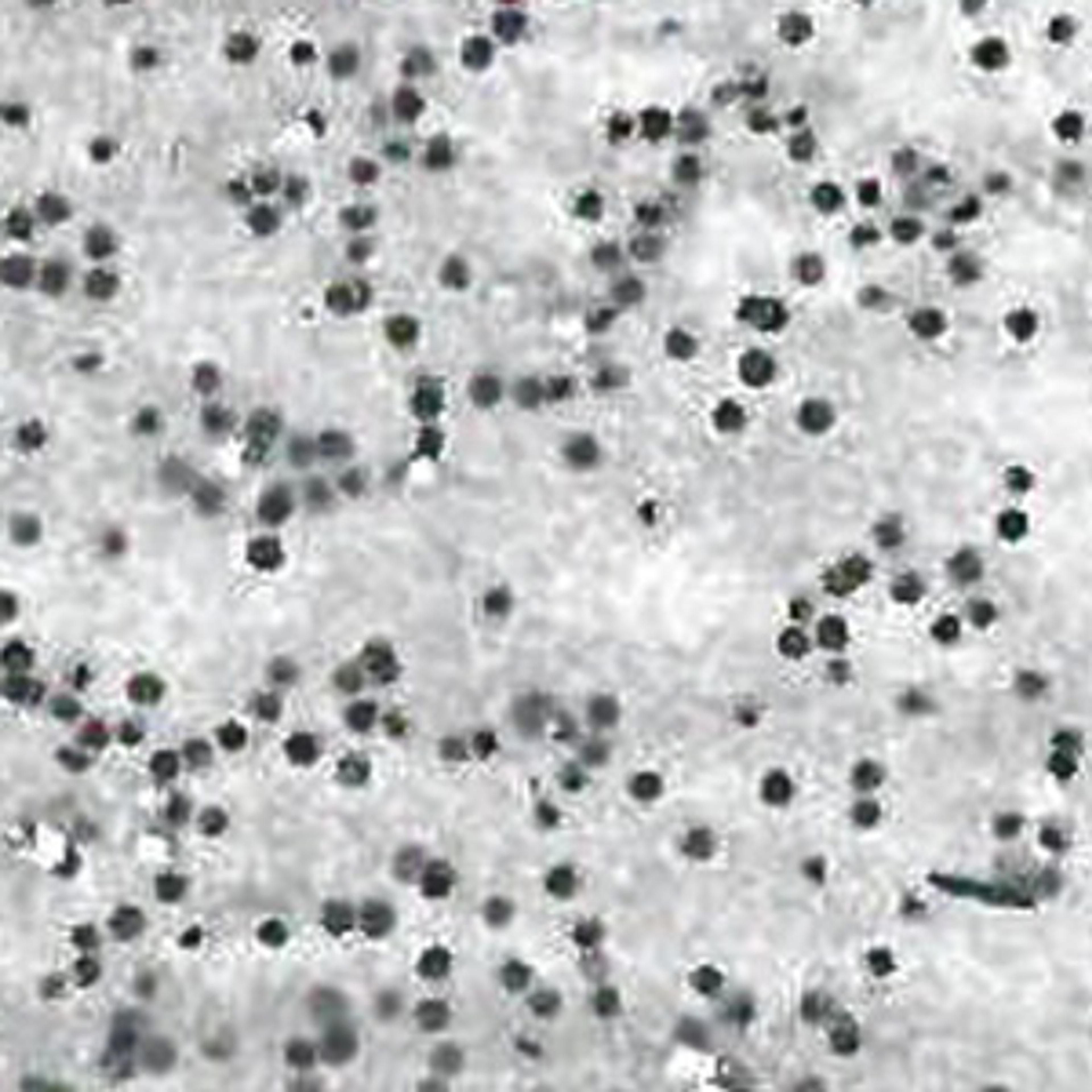 Specialist Crafts Glitter Paint 250ml - Silver | D197A001 | Findel Dryad